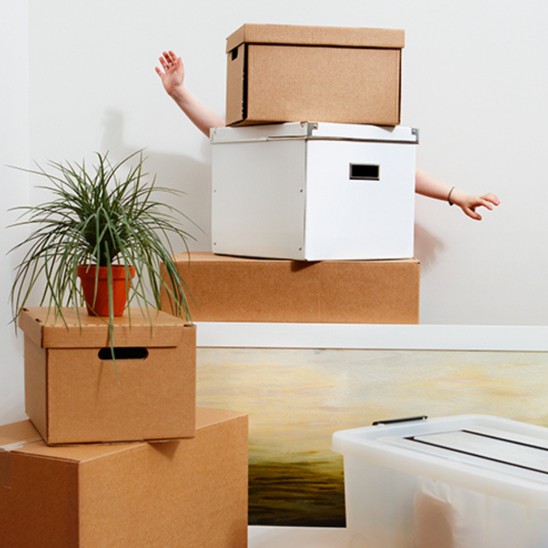 Move Out - Veda Prince George